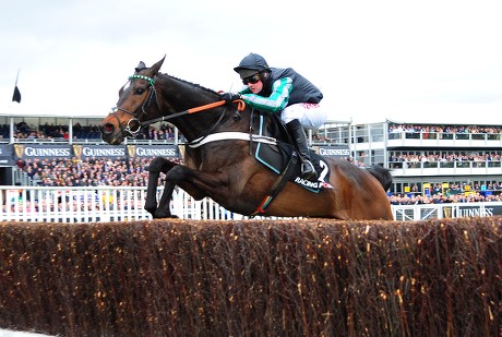 Cheltenham Jockey Lisa Oneill After Her Editorial Stock Photo - Stock ...