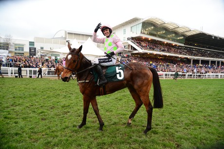 Cheltenham Lets Dance Ruby Walsh Makes Editorial Stock Photo - Stock ...