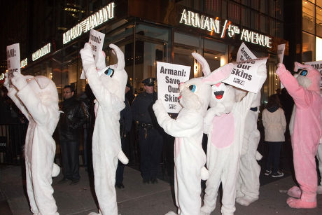 Peta Protesters Dressed Bunny Rabbits Protest Editorial Stock Photo ...