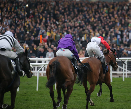 Sizing John Ridden By Robbie Power Editorial Stock Photo - Stock Image ...