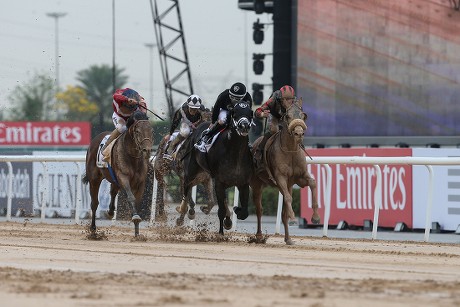 Dubai World Cup Horse Racing, Meydan, Dubai, United Arab Emirates - 25 ...