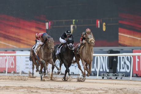 Dubai World Cup Horse Racing, Meydan, Dubai, United Arab Emirates - 25 ...