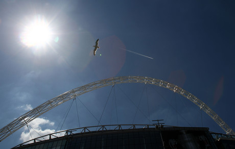 Plane Bird Fly Over Wembley Stadium Editorial Stock Photo - Stock Image ...