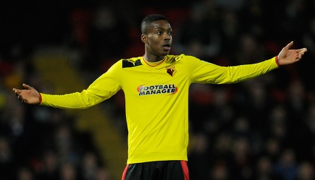 Watford V Sheffield Wednesday - 19 Feb 2013 Stock Pictures, Editorial ...