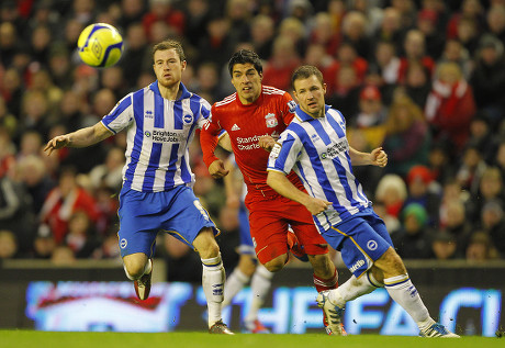Luis Suarez Liverpool Action Ashley Barnes Editorial Stock Photo ...