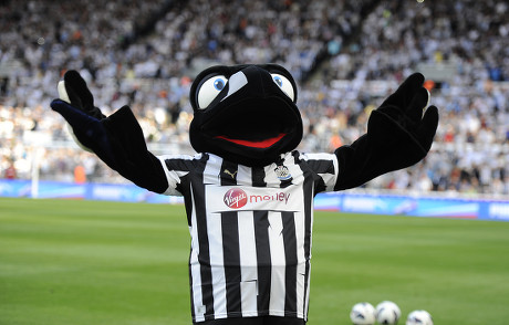 Newcastle Mascot Monty Magpie United Kingdom Editorial Stock Photo ...