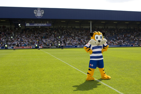 Qpr Mascot Spark Tiger United Kingdom Editorial Stock Photo - Stock ...