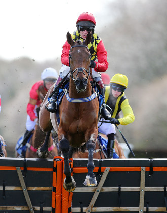 __COUNT__ Exeter Races, Exeter, UK - 21 Mar 2017 Stock Pictures ...
