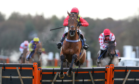 __COUNT__ Exeter Races, Exeter, UK - 21 Mar 2017 Stock Pictures ...