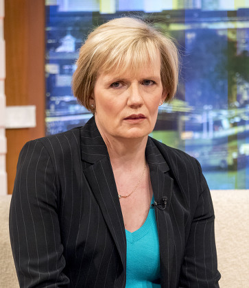 Lynn Hawes Editorial Stock Photo - Stock Image | Shutterstock