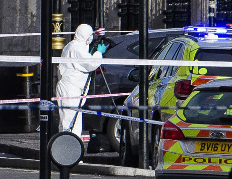 Police Forensics Examine Car Grey Involved Editorial Stock Photo ...