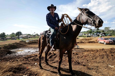 Filipino Cowboy Prepares His Horse During Editorial Stock Photo - Stock ...