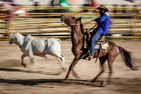Filipino Cowboy Silhouetted After Kaamulan Rodeo Editorial Stock Photo ...