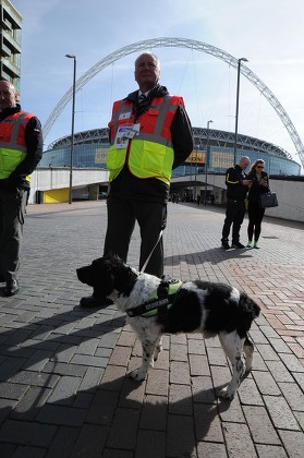 Deputy Commissioner Craig Mackey Ahead England Editorial Stock Photo ...