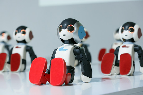 Robi Robots On Display During Media Editorial Stock Photo - Stock Image ...