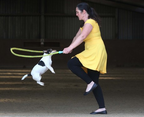 World record for most skips by a dog and person using a single skipping ...