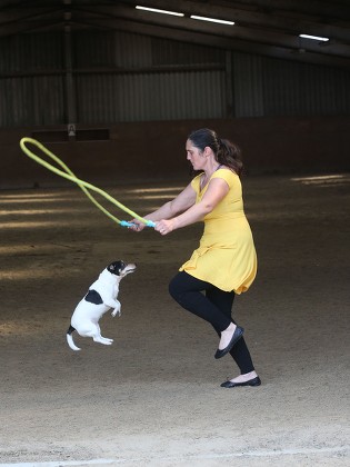 World record for most skips by a dog and person using a single skipping ...