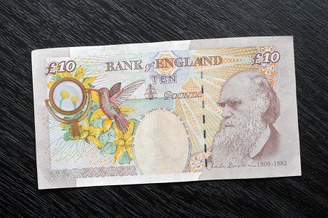 250 Charles darwin naturalist Stock Pictures, Editorial Images and ...