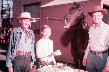 Fury Tv Bobby Diamond Peter Graves Editorial Stock Photo - Stock Image ...