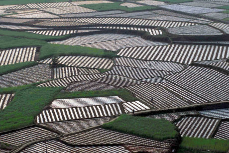 Terraced Crop Fields Mulched Expansive Plastic Editorial Stock Photo ...
