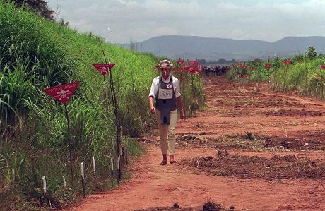 41 Field of land mines Stock Pictures, Editorial Images and Stock ...