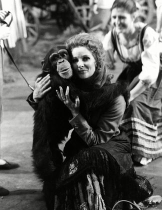 Adrienne Corri Vampire Circus Film 1972 Editorial Stock Photo - Stock ...