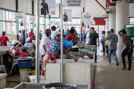 Africa Fish Market Maputo Mercado De Editorial Stock Photo - Stock ...