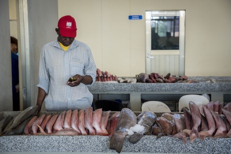 Africa Fish Market Maputo Mercado De Editorial Stock Photo - Stock ...