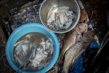 Africa Fish Market Maputo Mercado De Editorial Stock Photo - Stock ...