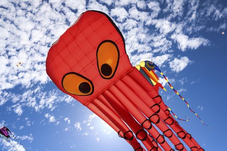 Kite Flyers Put On Colorful Display Editorial Stock Photo - Stock Image ...