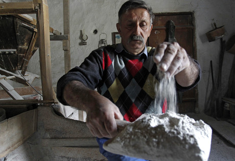 Daniel Lazic Checks Quality Flour Which Editorial Stock Photo - Stock ...