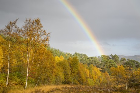 10 Affric river highlands scotland valley forest autumn fall british ...