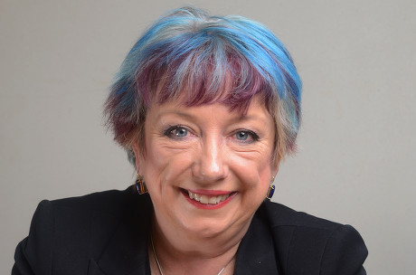 Karen Lumley Conservative Mp Redditch County Editorial Stock Photo ...