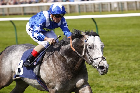 Gunmetal Andrea Atzeni Win Weatherbys General Editorial Stock Photo ...