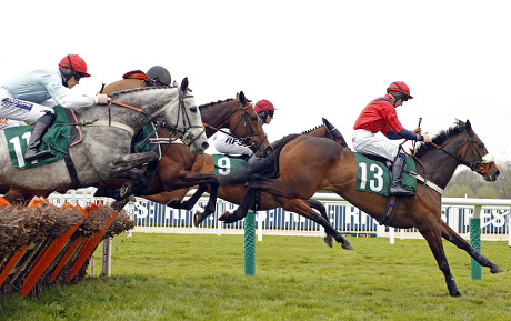 Carnspindle Thomas Greatrex Leads Field Cheltenham Editorial Stock ...