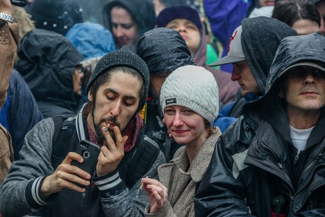 420 Day, Toronto, Canada - 20 Apr 2017 Stock Pictures, Editorial Images ...