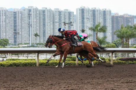Barrier Trials Morning Trackwork Hong Kong Editorial Stock Photo ...