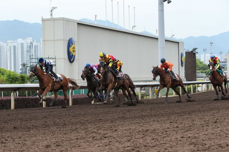 Barrier Trials Morning Trackwork Hong Kong Editorial Stock Photo ...