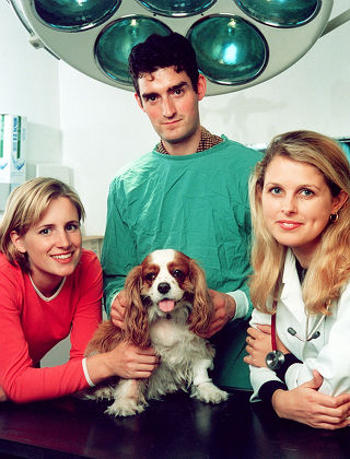 Animal Sos Tv Presenter Christa Hart Editorial Stock Photo - Stock ...
