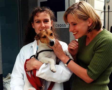 Animal Sos Tv Presenter Christa Hart Editorial Stock Photo - Stock ...
