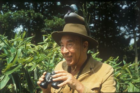 Peter Willes Tv Producer Editorial Stock Photo - Stock Image | Shutterstock