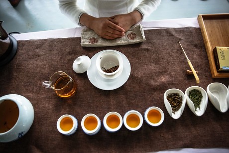__COUNT__ The Guizhou Tea Expo, China - 28 Apr 2017 Stock Pictures ...