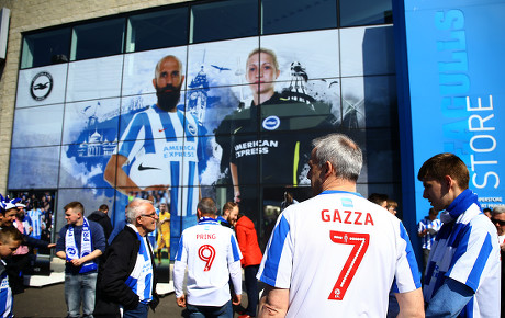 Brighton Fan Gazza Printed On His Editorial Stock Photo - Stock Image ...