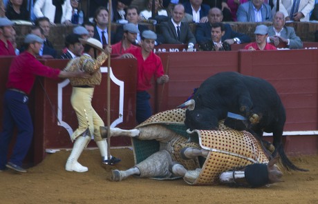 Fighting Bull Ranch Victorino Martin Takes Editorial Stock Photo ...