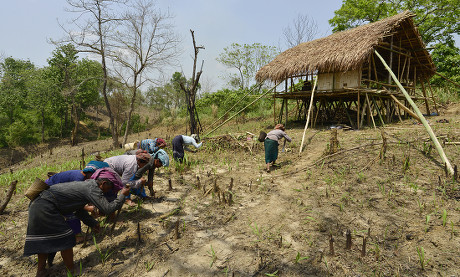 Reang tribe of Tripura, India, Dhalai - 29 Apr 2017 Stock Pictures ...