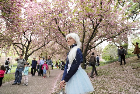 Girl Dressed Cosplay Costume Poses Photos Editorial Stock Photo - Stock ...