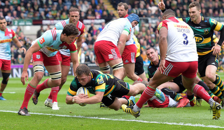 Northamptons Alex Waller Barges Over Try Editorial Stock Photo - Stock ...