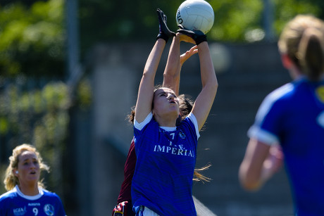 Cavan Vs Westmeath Sheila Reilly Catches Editorial Stock Photo - Stock ...