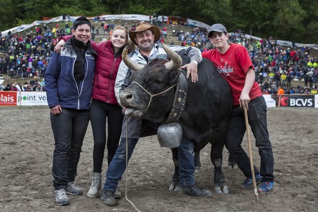Winning Cow Tzigane Owner Diego Madlen Editorial Stock Photo - Stock ...