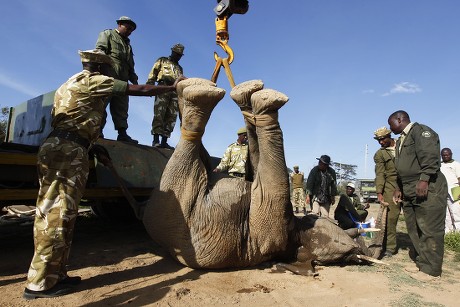 Rangers Kenya Wildlife Service Kws Winch Editorial Stock Photo - Stock ...